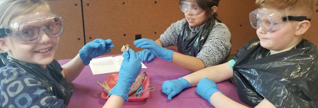 Home - Washington Elementary School