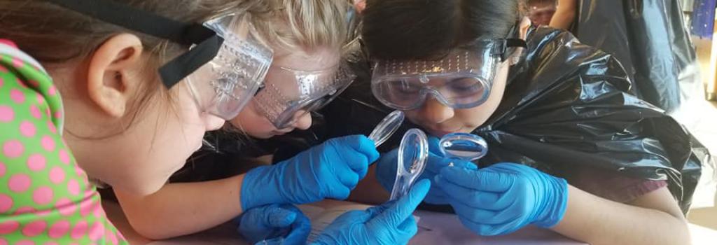 Home - Washington Elementary School